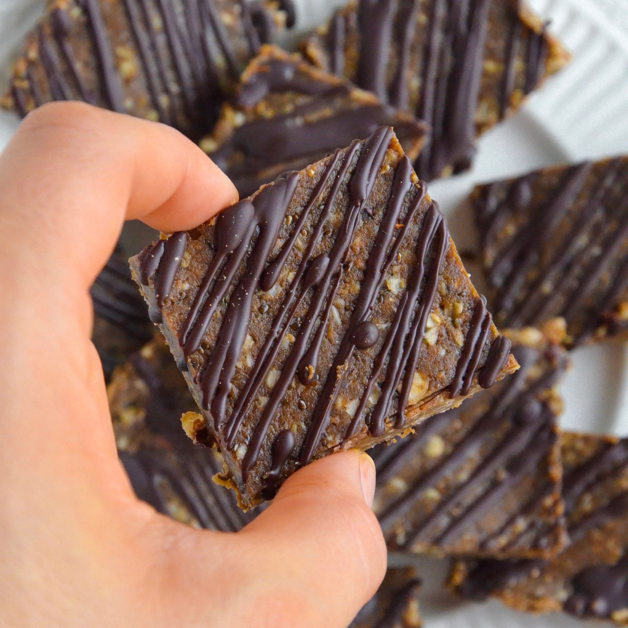 Maca Protein Bars (Vegan, Gluten Free) - Veggie World Recipes