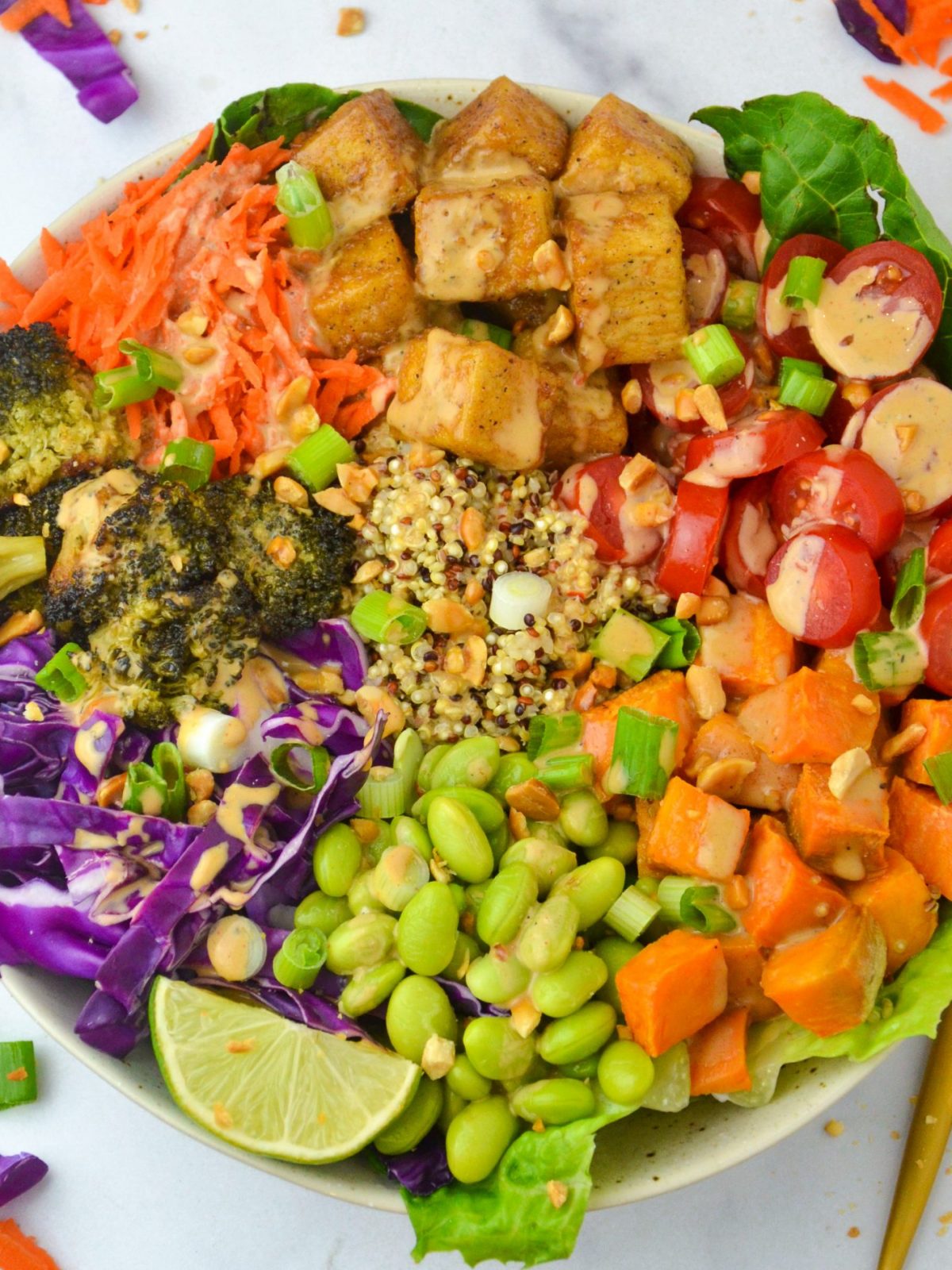Meals Archives - Veggie World Recipes