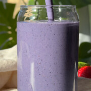 Blueberry Frozen Yogurt Vegan Gf Veggie World Recipes